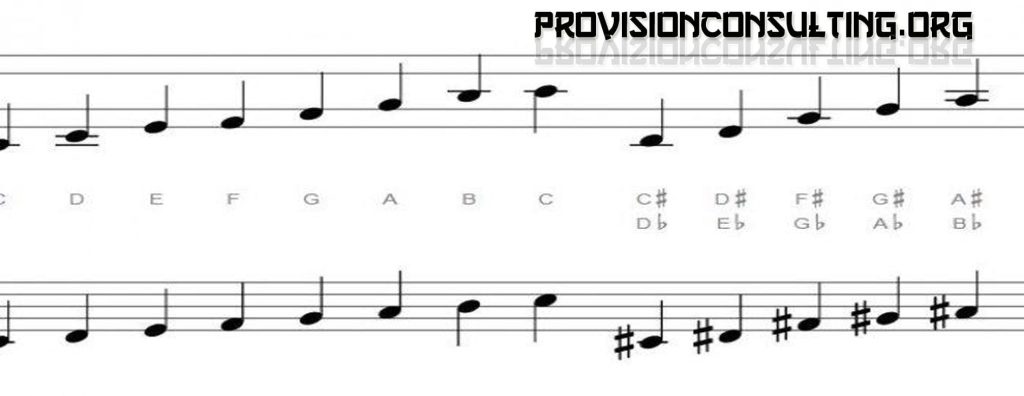 Nada Musik dan Fungsinya - provisionconsulting